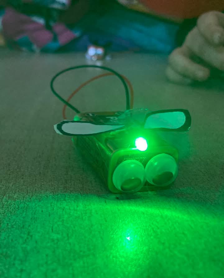 Nutty Scientist at Urlingford Library - Cruinniú na nÓg