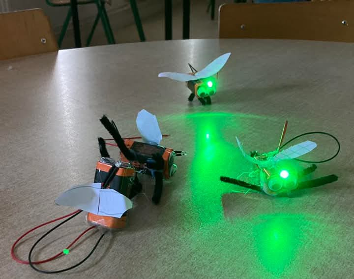 Nutty Scientist - Electric Bugs Science Workshop - Cruinniú na nÓg