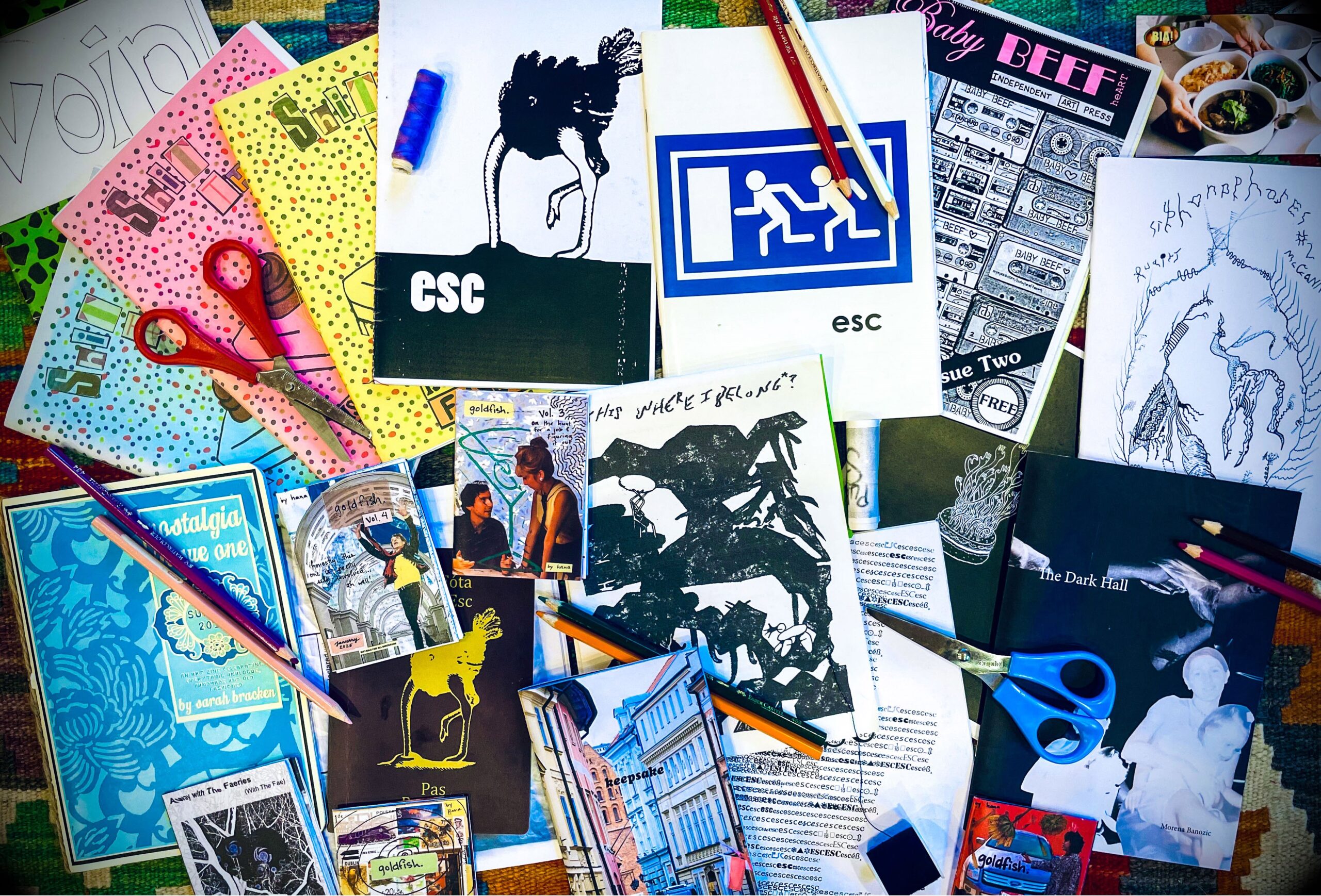 Zine-Making and DIY-Publishing Workshop - Cruinniú na nÓg